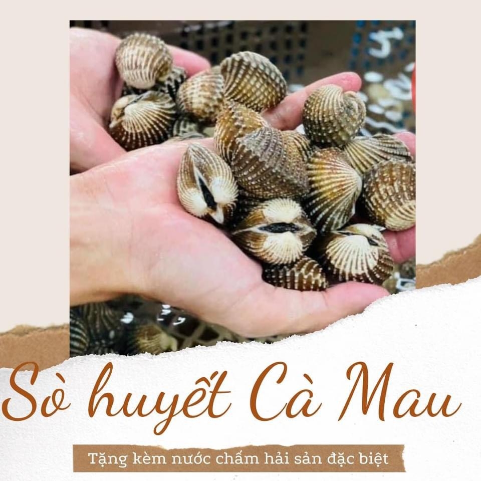 Sò Huyết Sống